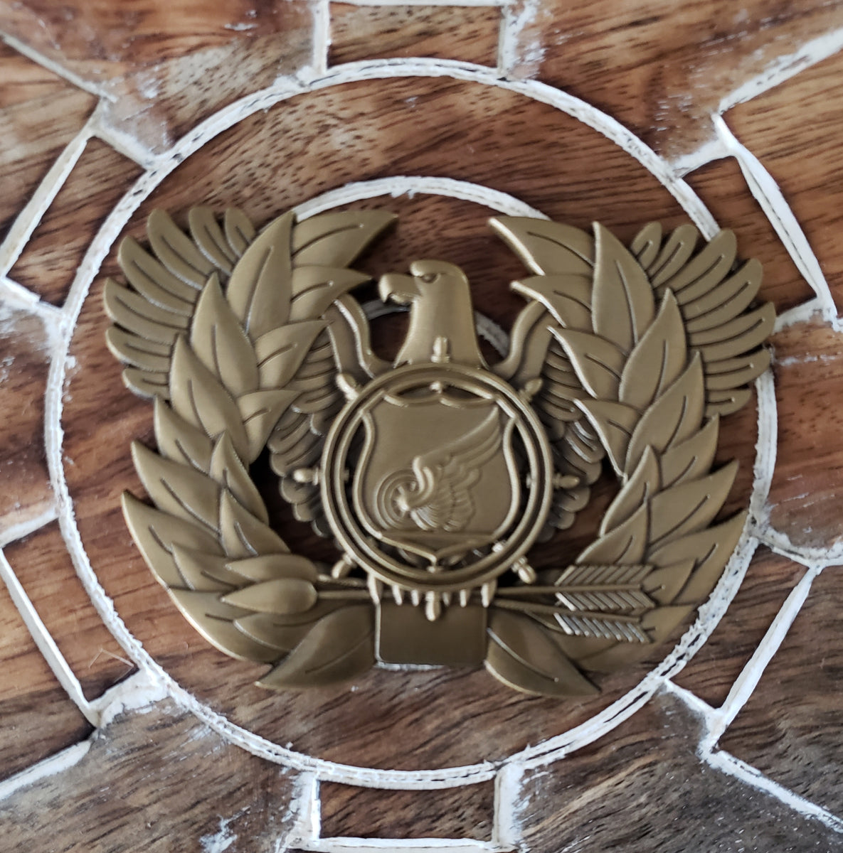 TC Branch Eagle Rising Coin – Talented Tenth Apparel
